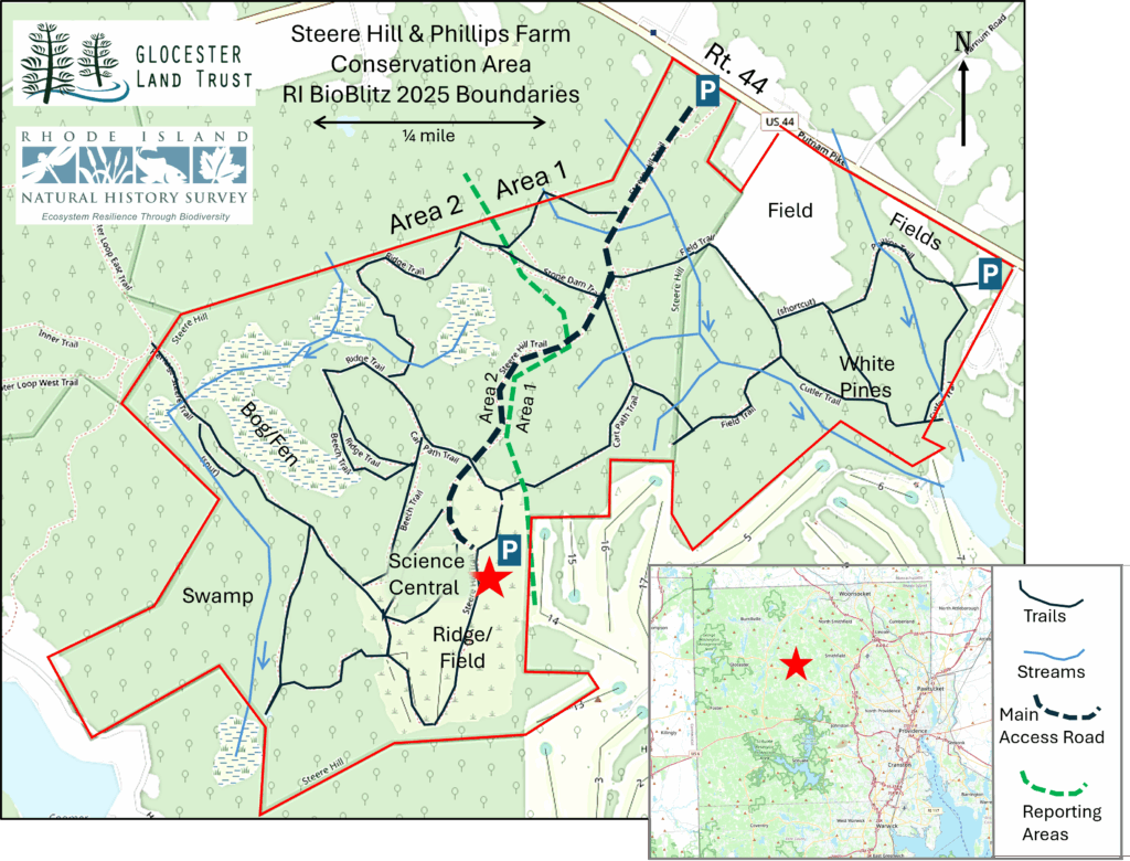 BioBlitz 2025: Glocester - Rhode Island Natural History Survey